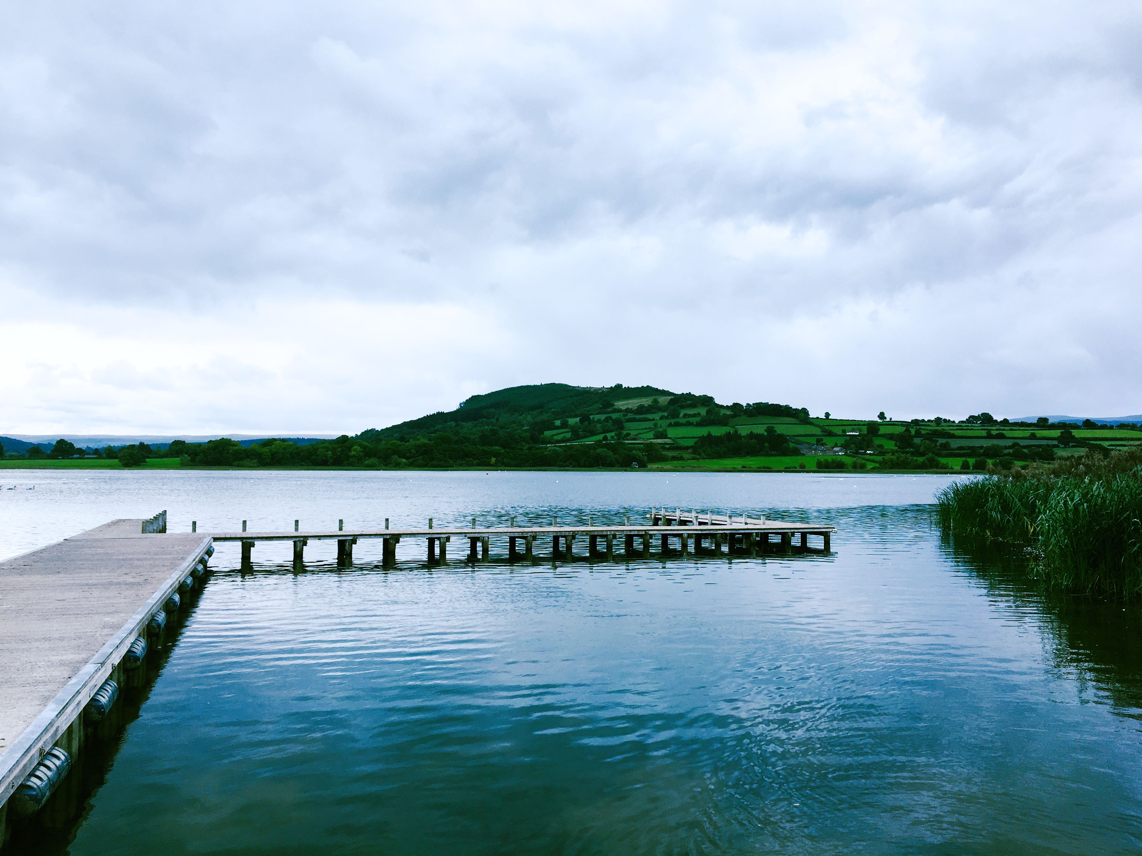 Newsletters – UK Glass Eels